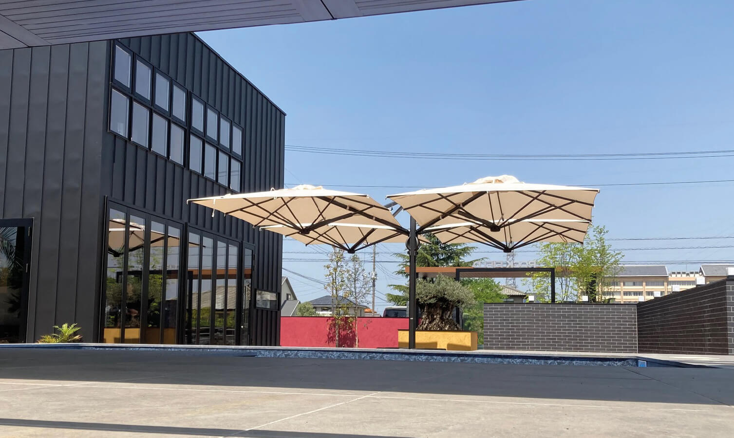 Giant parasols - Quattro Carbon